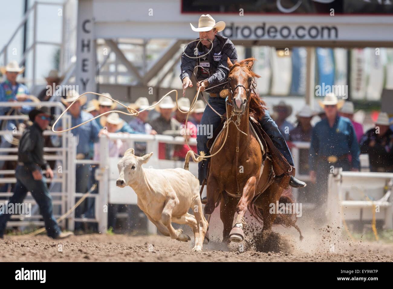 Cheyenne, Wyoming, USA. 24th July, 2015. Tie Down Roping rider Timber ...