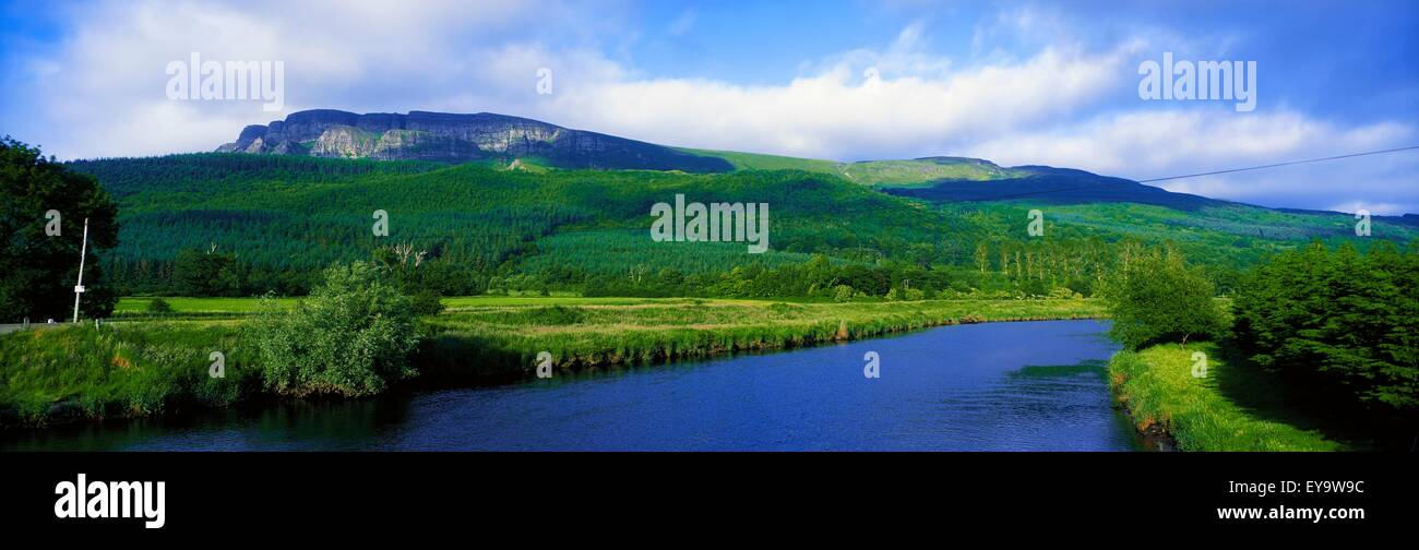 River roe hi-res stock photography and images - Alamy