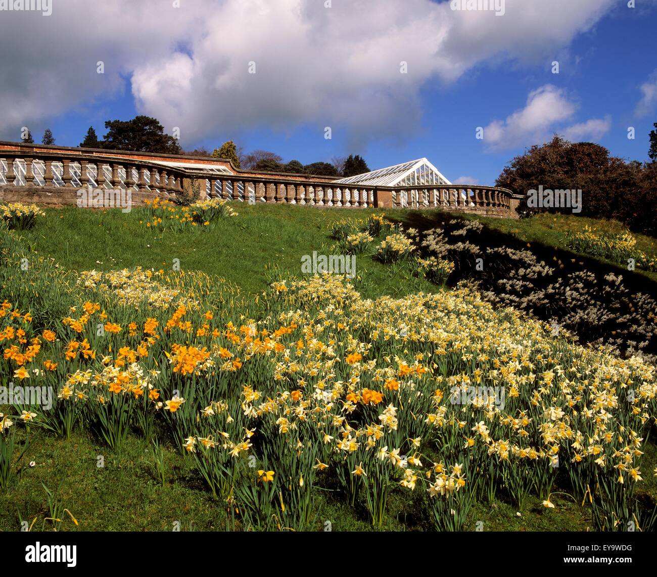 Castlewellan castle hi-res stock photography and images - Alamy