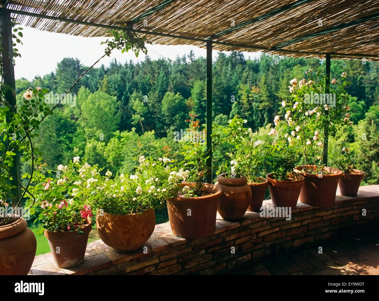 Pots On Covered Patio Stock Photo - Alamy