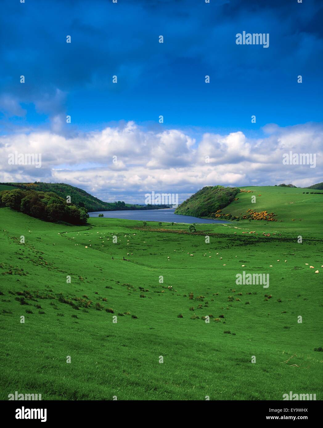 Lough Derravaragh, Co Westmeath, Ireland Stock Photo - Alamy