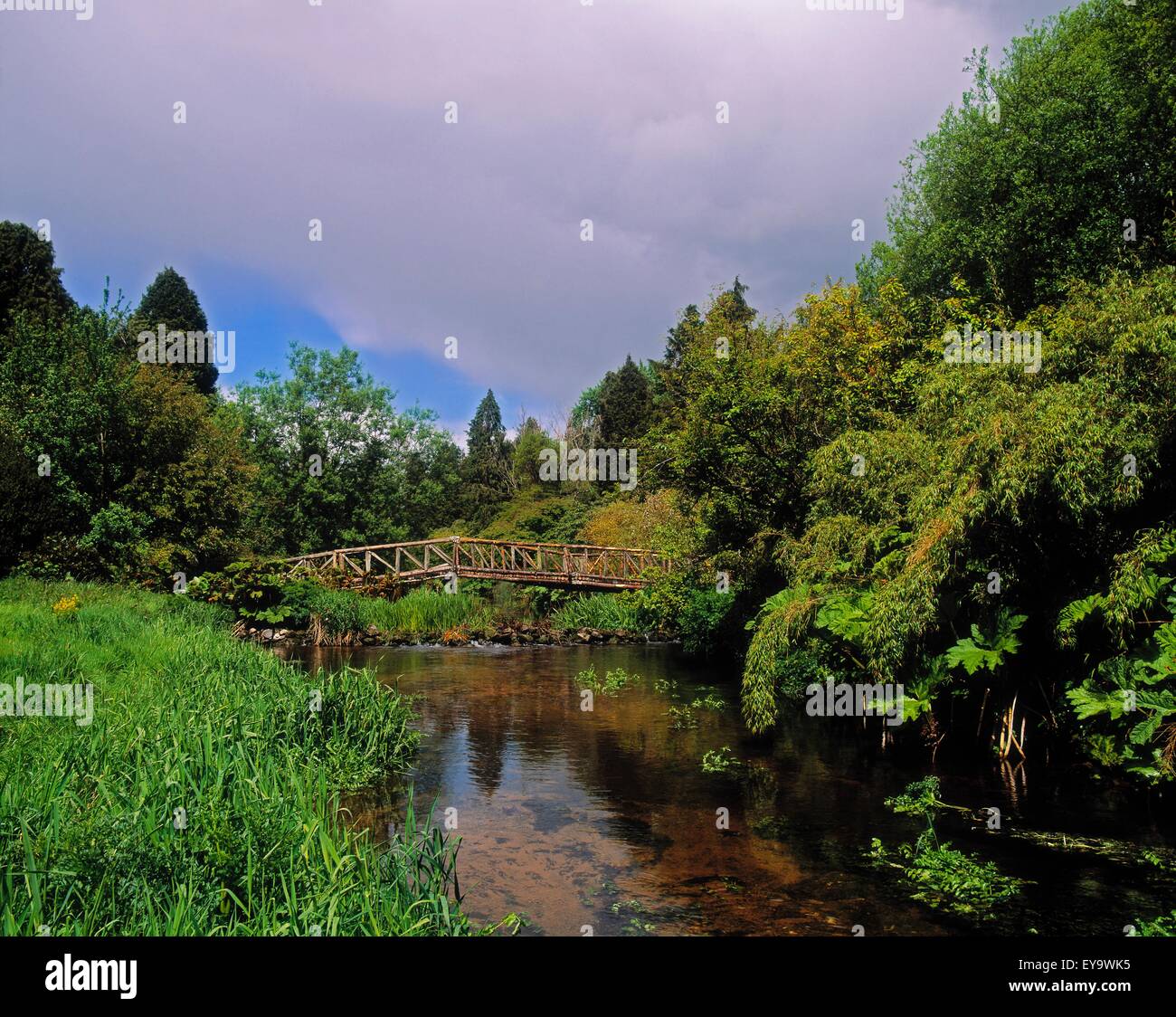River Awbeg, Annesgrove, Castletownroche, Co Cork, Ireland; Bridge Over ...