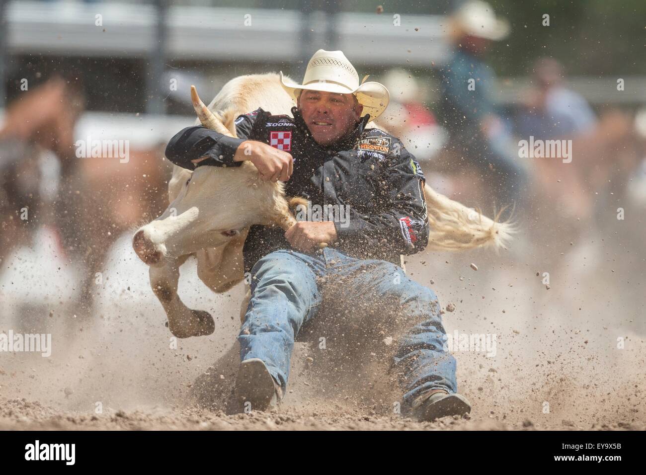 Steer wrestler hi-res stock photography and images - Alamy
