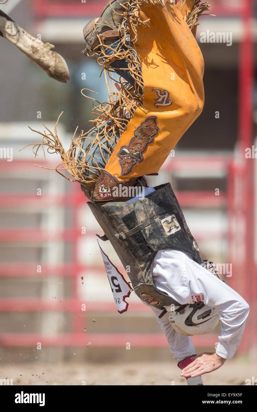Cheyenne, Wyoming, USA. 24th July, 2015. Bull rider Trevor Kastner of ...