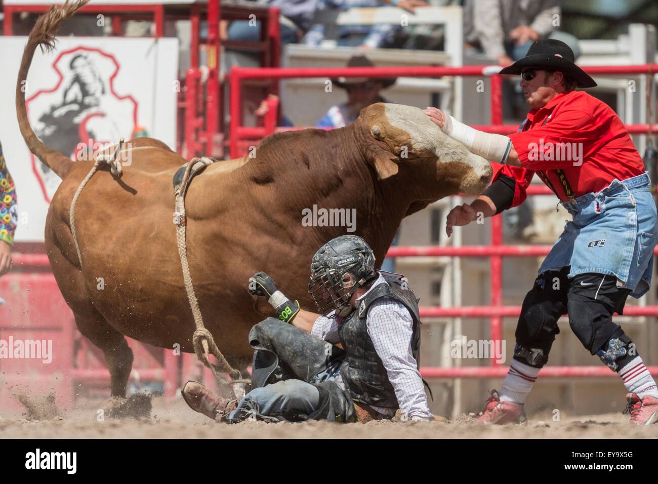 Cody rostockyj hi-res stock photography and images - Alamy