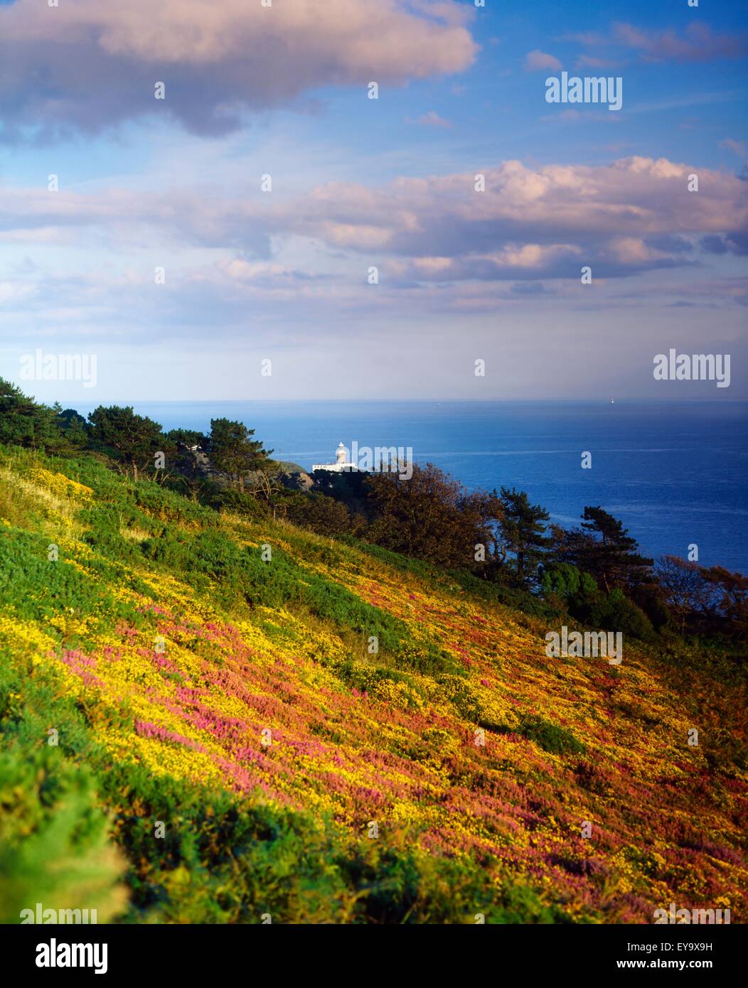 Baily Lighthouse, Howth, Co Dublin, Ireland Stock Photo - Alamy