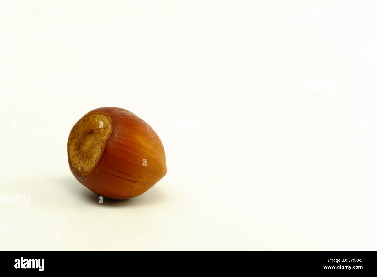 Dried natural hi-res stock photography and images - Alamy