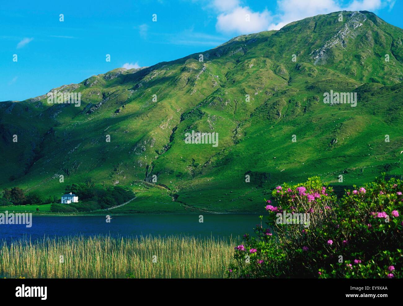 Kylemore Lake, Co Galway, Ireland; House Near A Lake Stock Photo - Alamy