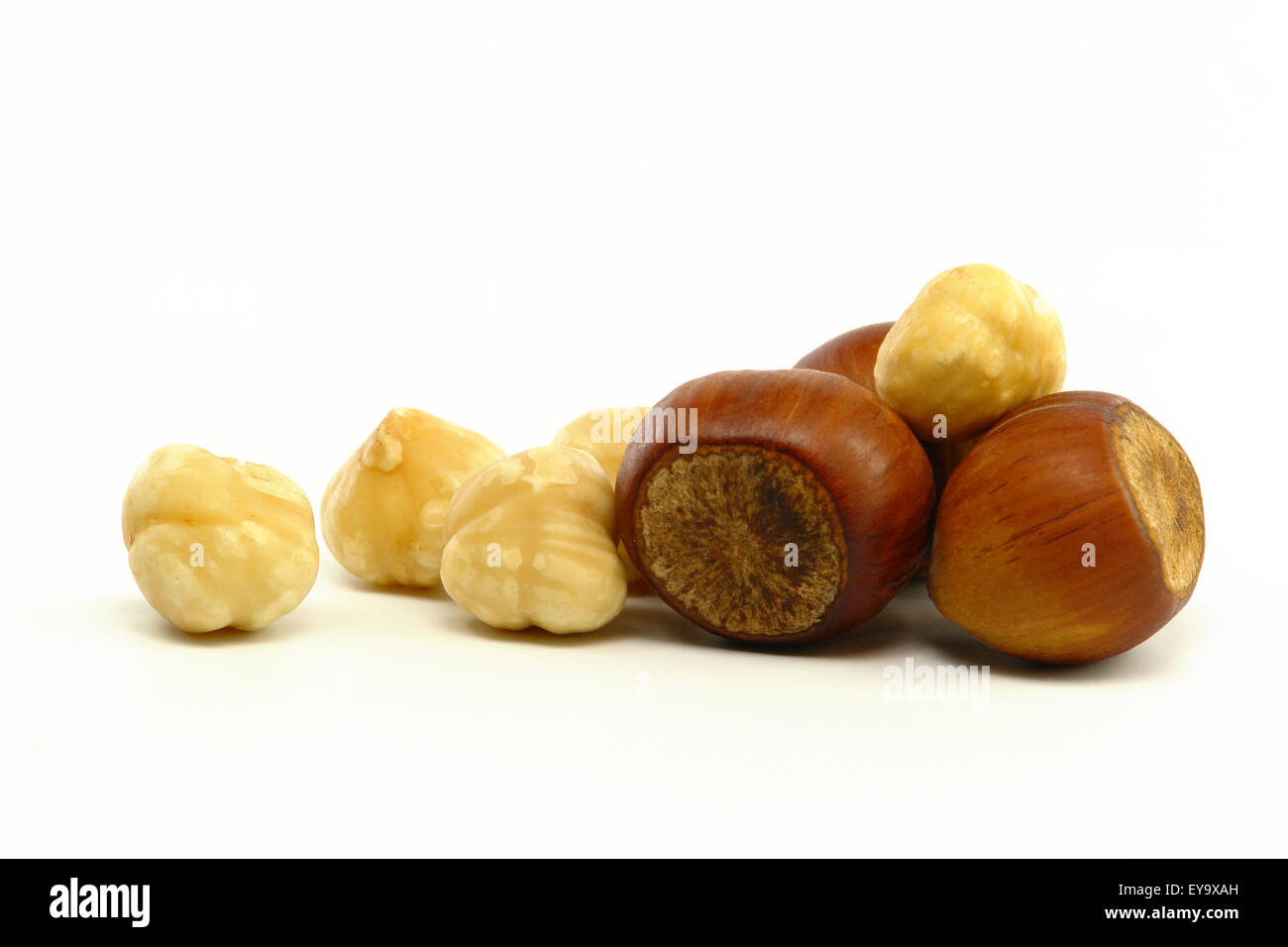 Hazelnut shell hi-res stock photography and images - Alamy