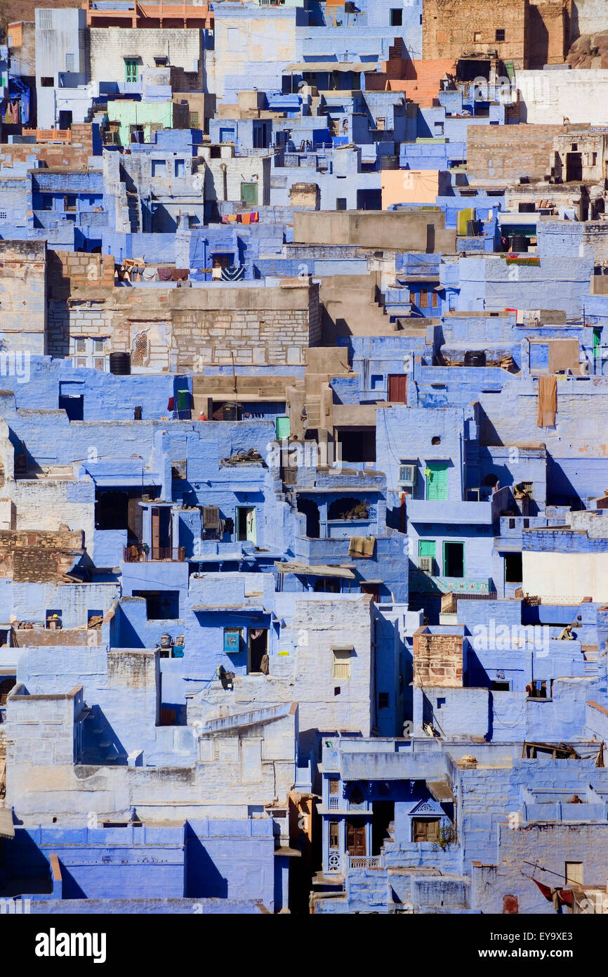 Blue Buildings Of Jodhpur, Aerial View Stock Photo - Alamy