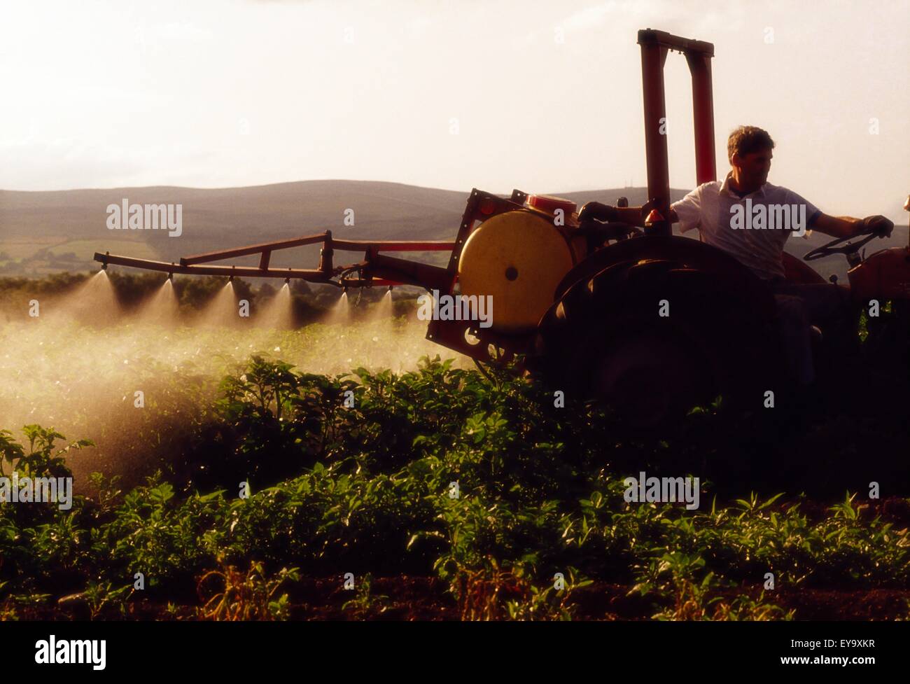 Farmer Spraying Potatoes Stock Photo - Alamy