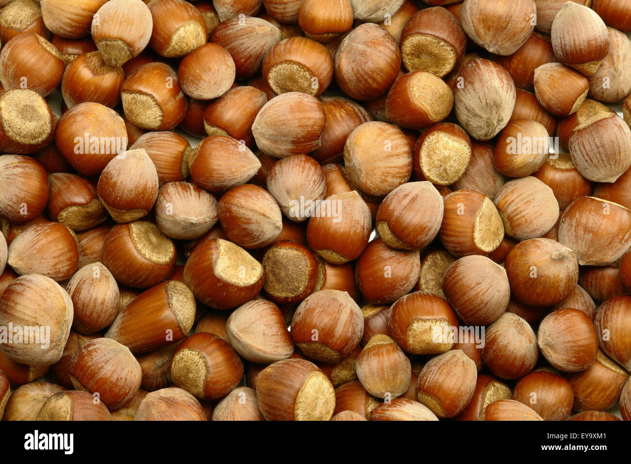 Pile fresh hazelnut food hi-res stock photography and images - Alamy