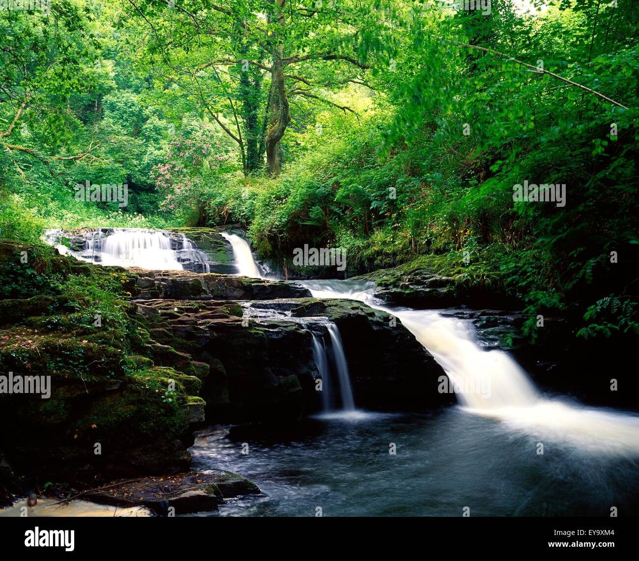 Limerick co ireland river hi-res stock photography and images - Alamy