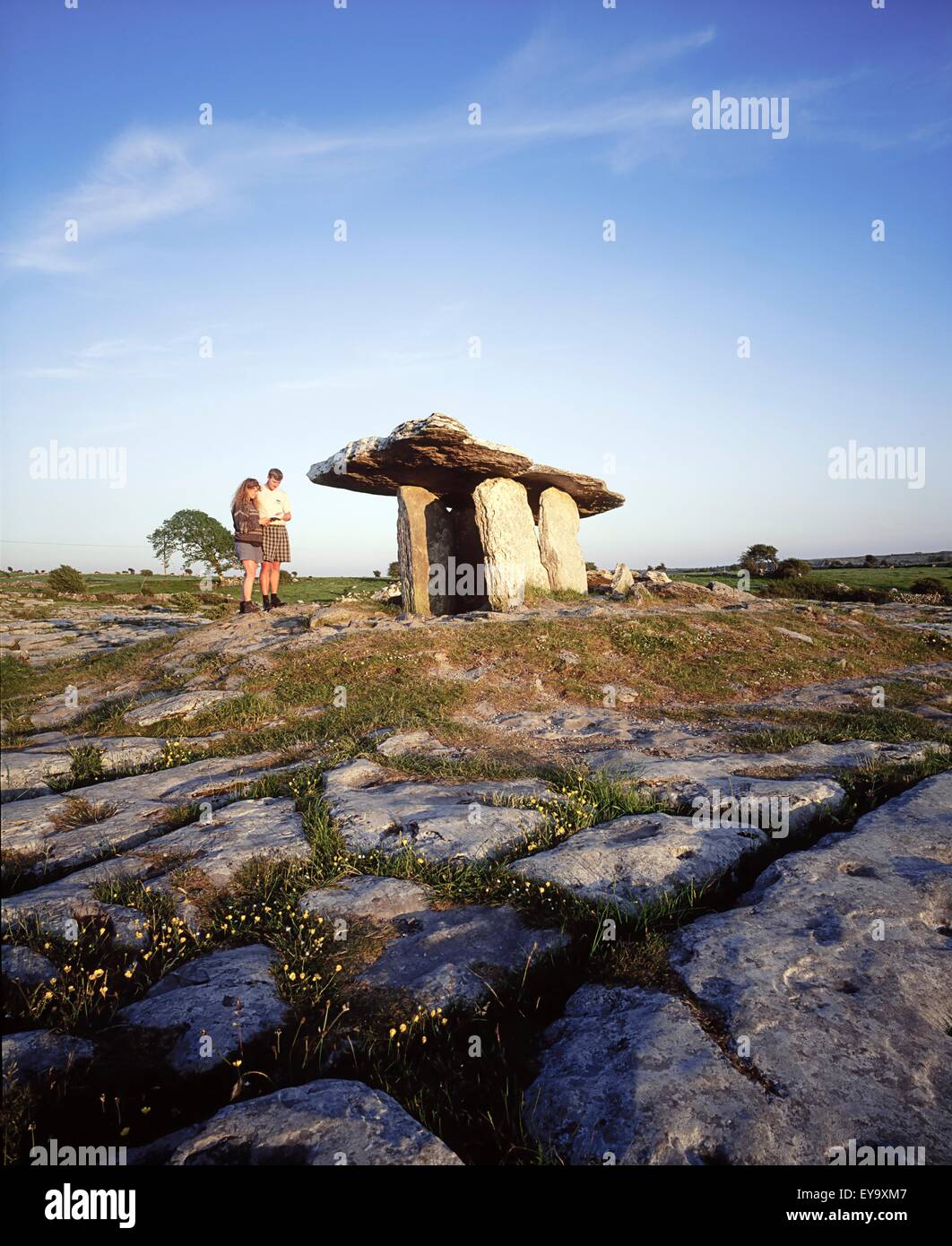 Poulnabrone Dolmen, The Burren, Co Clare, Ireland Stock Photo - Alamy