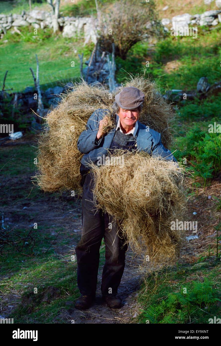 Farmer carrying hay bale hi-res stock photography and images - Alamy