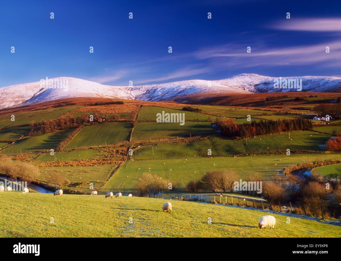 Sperrin mountains in county hi-res stock photography and images - Alamy