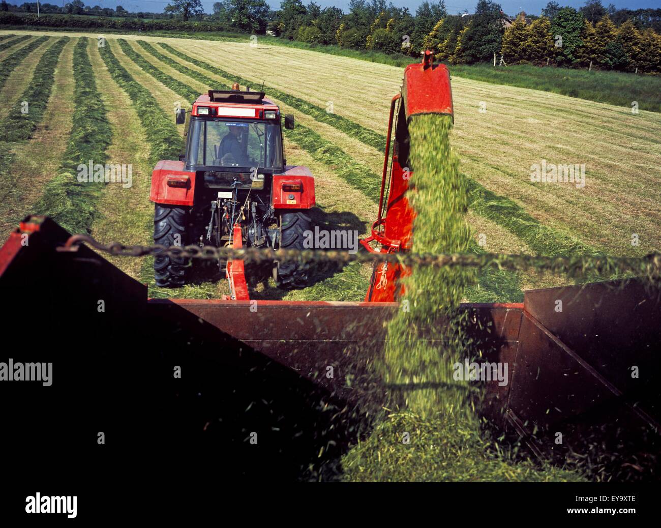 Combine Harvester Harvesting A Field, Republic Of Ireland Stock Photo ...