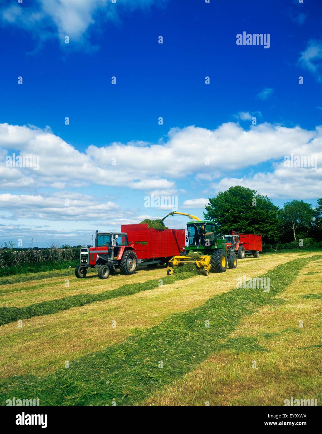 Portlaoise county laois hi-res stock photography and images - Alamy