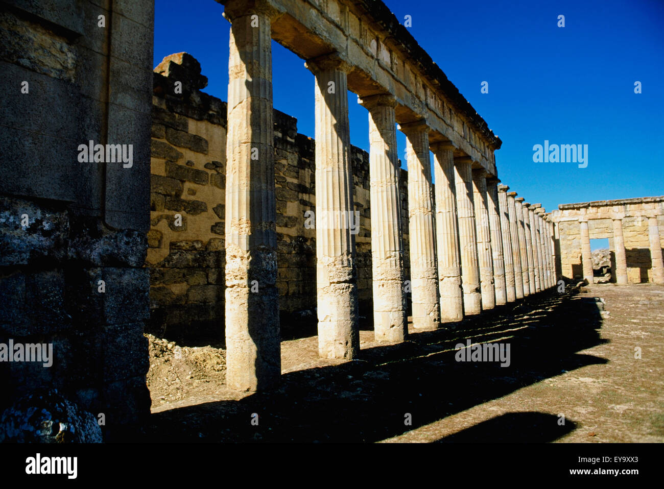 Forum of proculus hi-res stock photography and images - Alamy