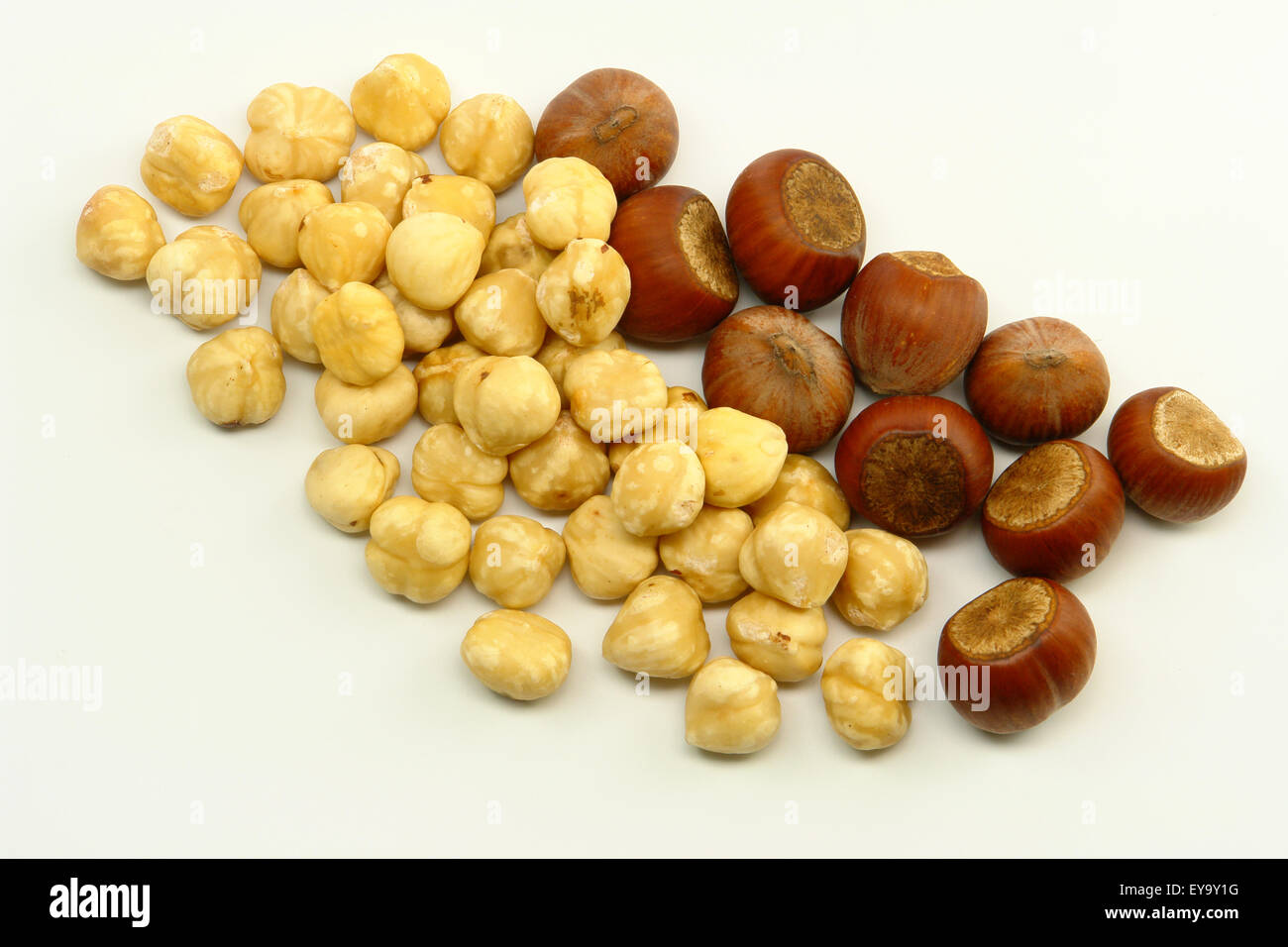 Hazelnuts on White Background Stock Photo - Alamy