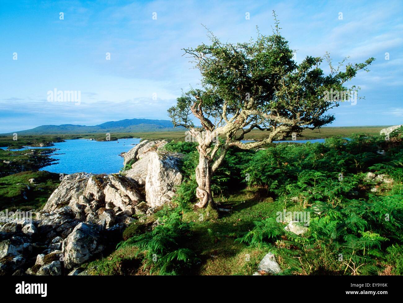 Roundstone bog errisbeg ireland hi-res stock photography and images - Alamy