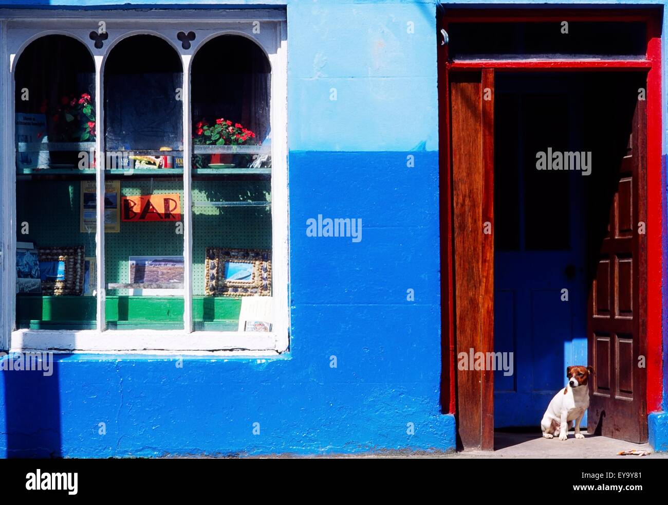 Irish pub with dog outside hi-res stock photography and images - Alamy