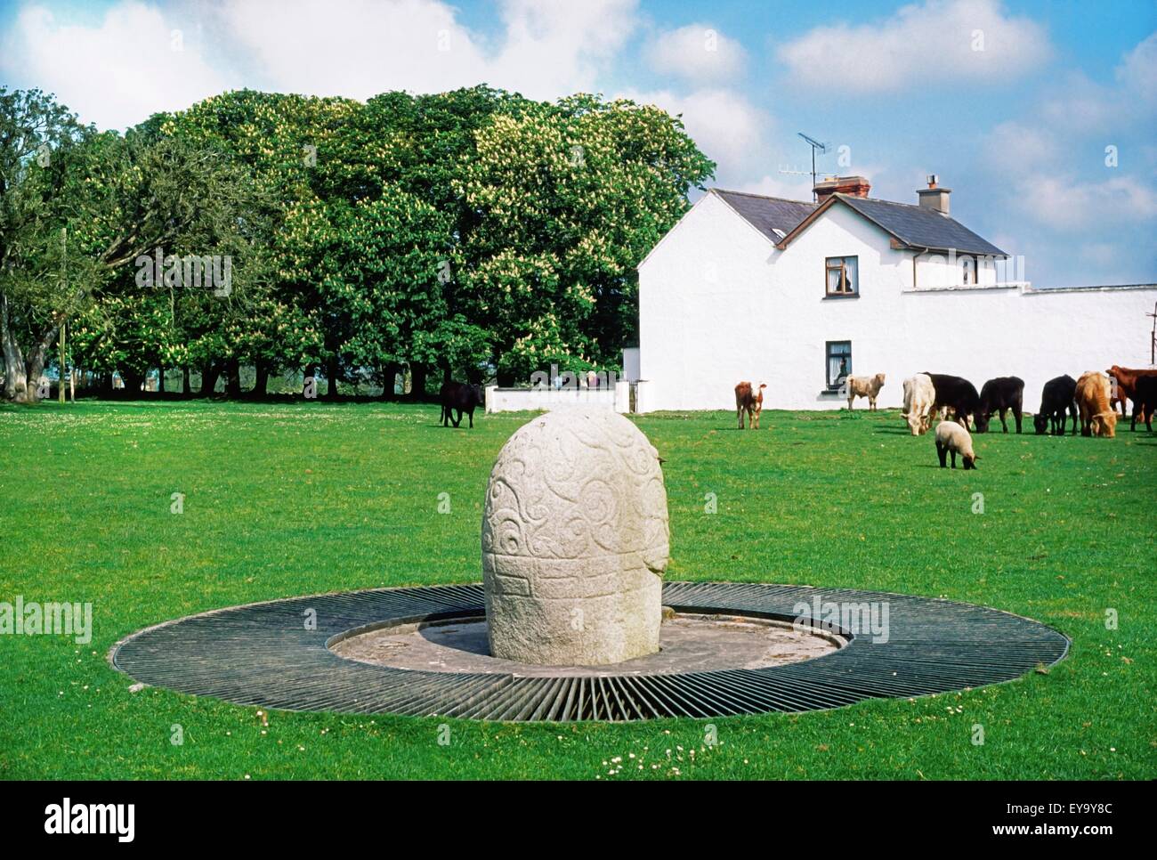 Turoe Stone, Bullaun, County Galway, Ireland; Granite Stone Decorated ...
