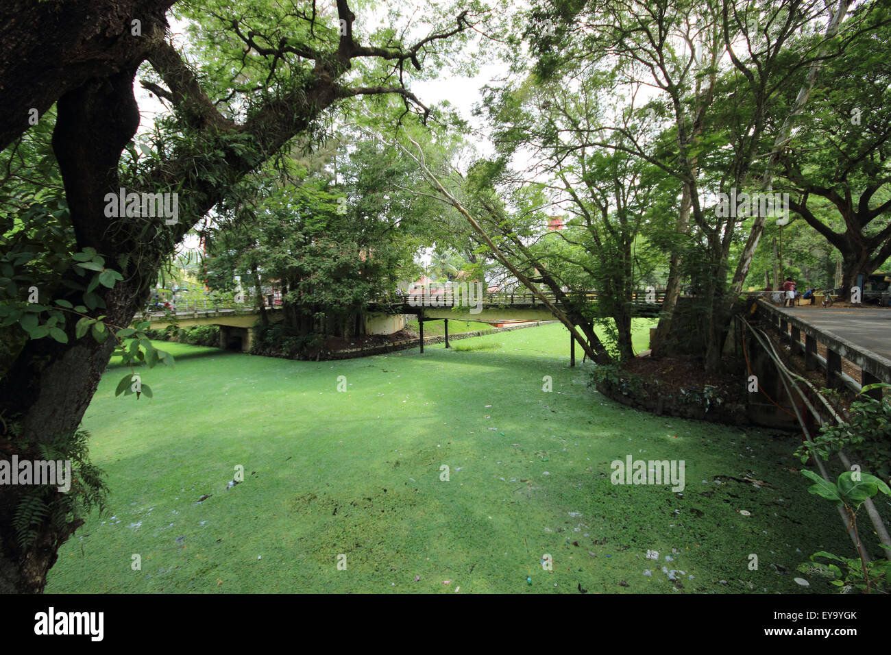 Muppalam, Alleppey, Kerala, India Stock Photo - Alamy