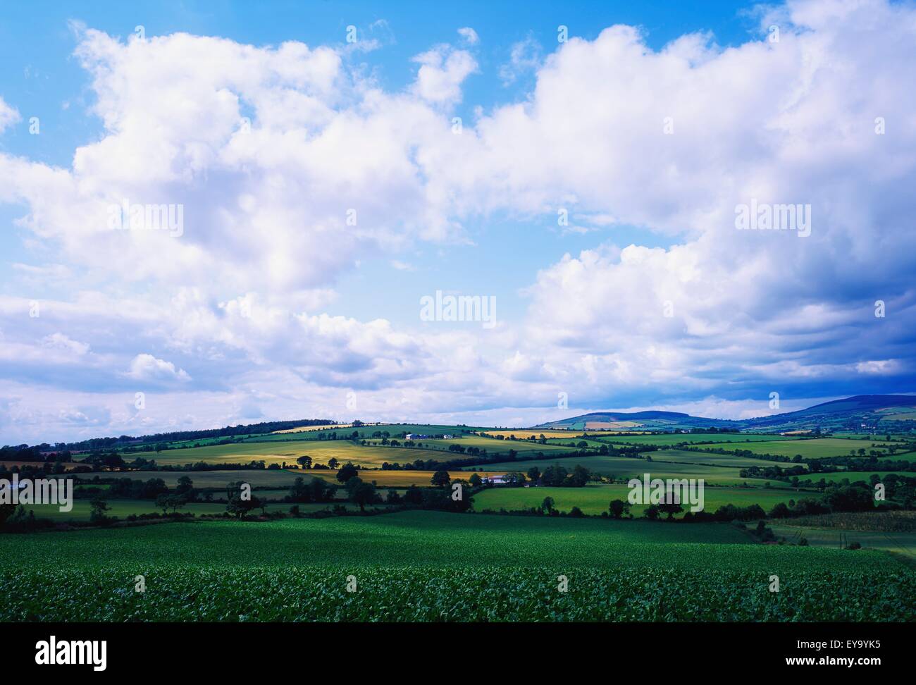 Lush pastures ireland hi-res stock photography and images - Alamy