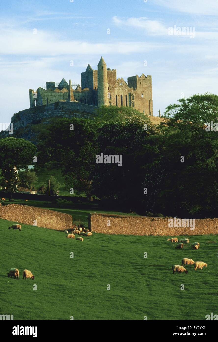 Sheep farming medieval hi-res stock photography and images - Alamy