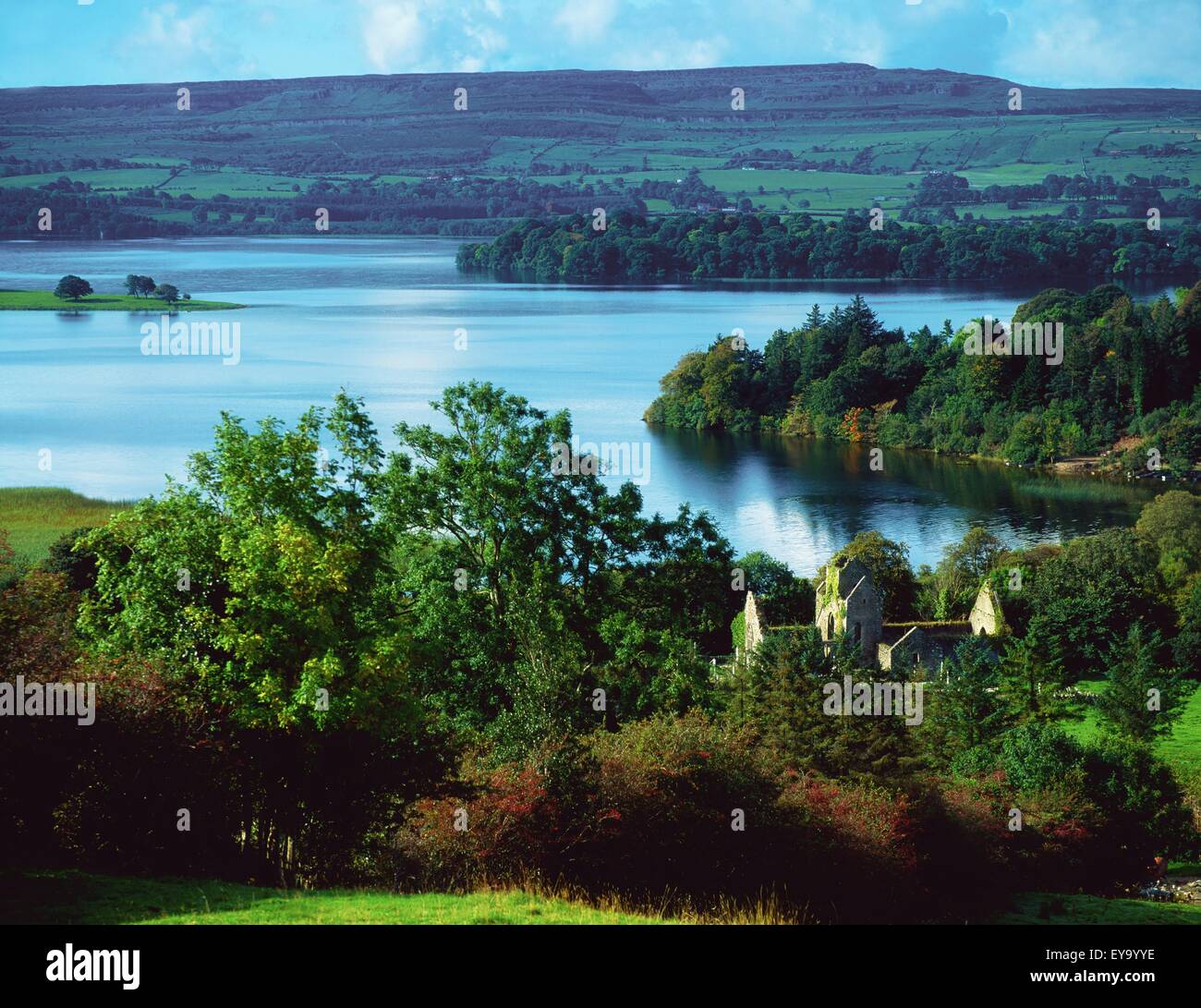 Ballindoon Abbey, Lough Arrow, County Sligo, Ireland; Lakefront ...