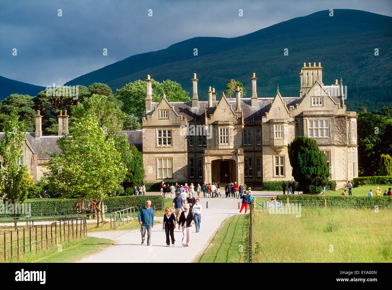 Tudor style medieval courtyard hi-res stock photography and images - Alamy