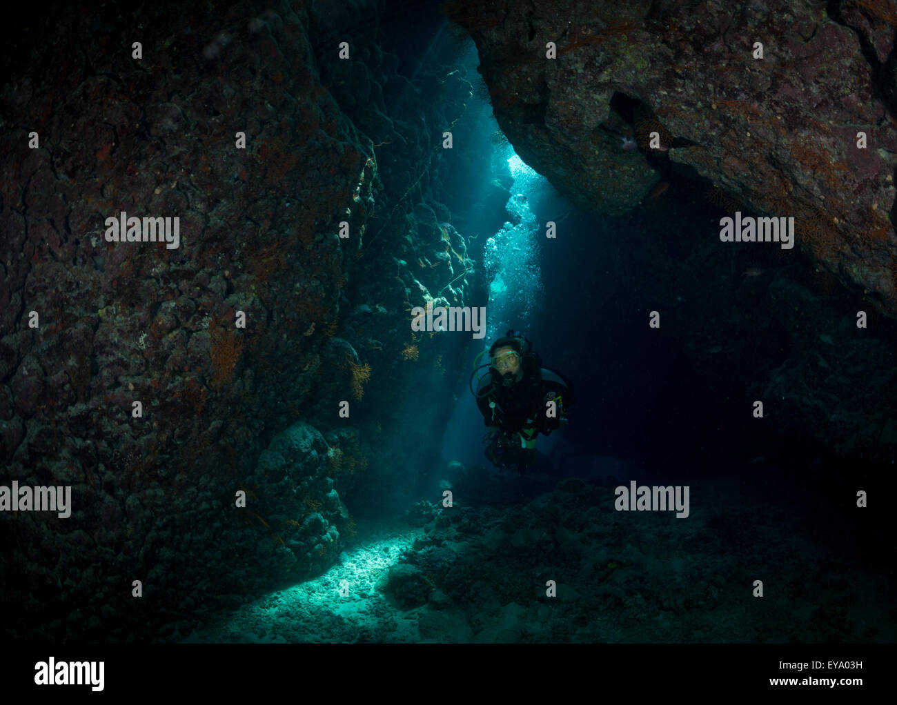Exploring the caves at St John's, Red Sea, Egypt Stock Photo - Alamy