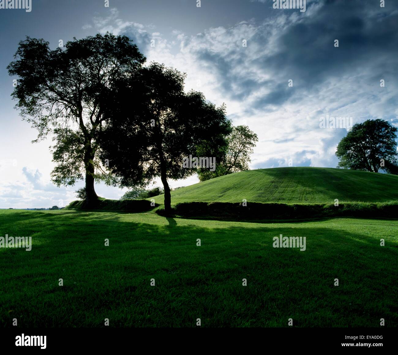 Trees in navan fort in county armagh hi-res stock photography and ...