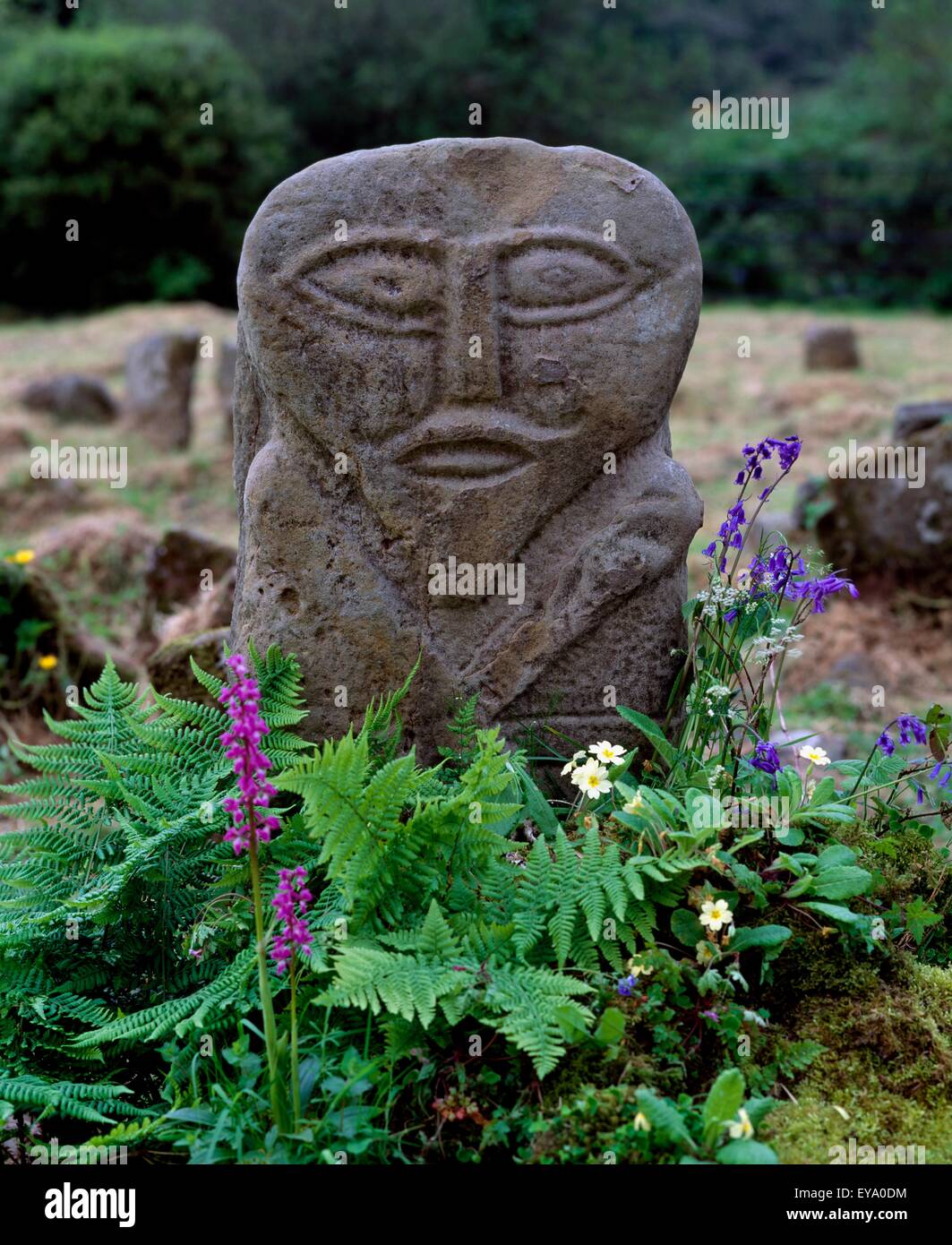 The Janus Stone, Boa Island Co Fermanagh, Ireland Stock Photo - Alamy
