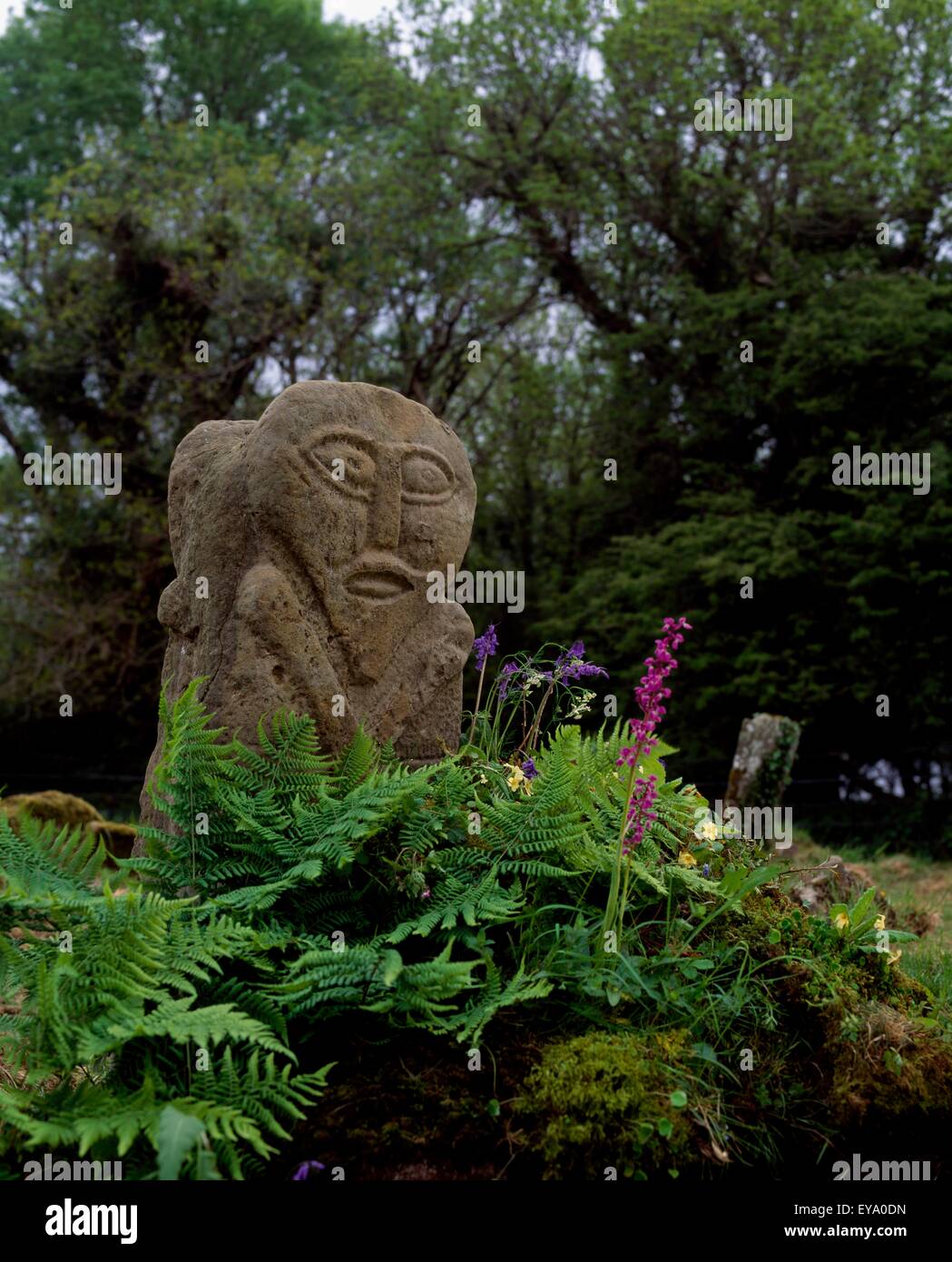 The Janus Stone, Boa Island Co Fermanagh, Ireland Stock Photo - Alamy