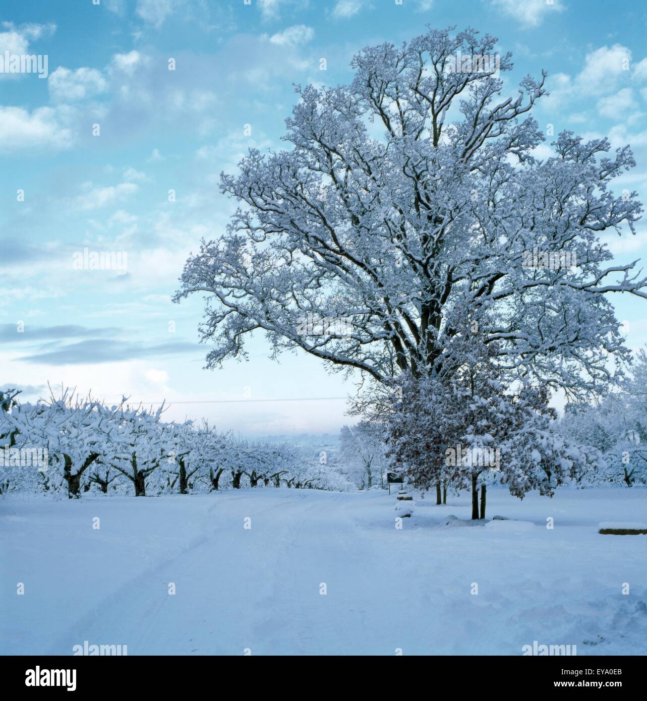 Co armagh landscapes hi-res stock photography and images - Alamy