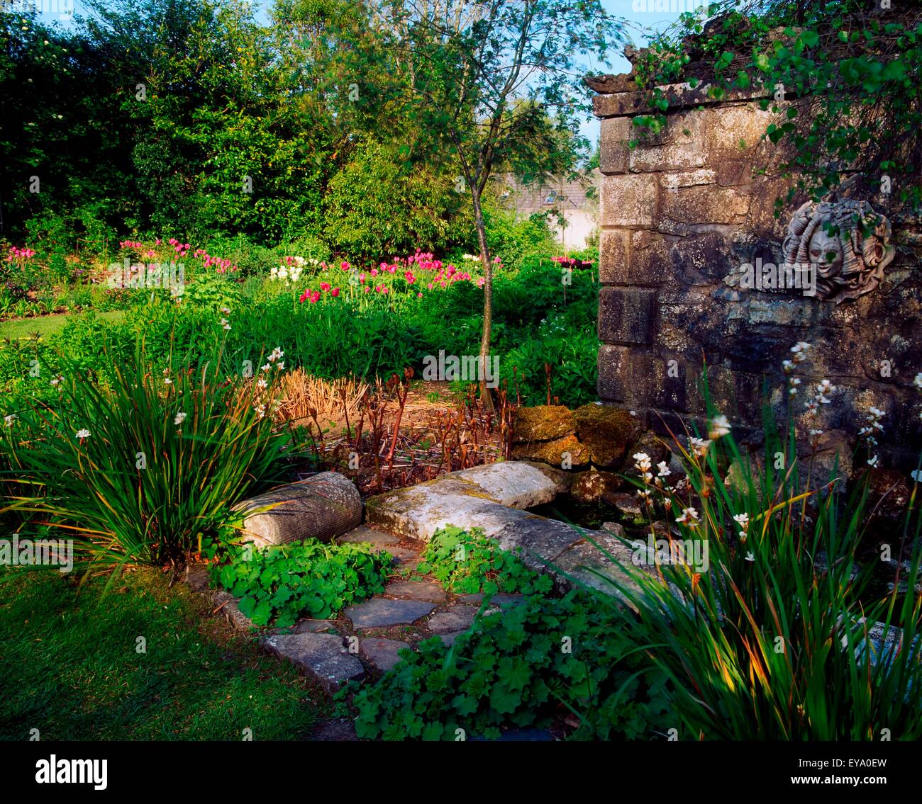 Butterstream Gardens, Co Meath, Ireland; Medusa Fountain In A Garden ...