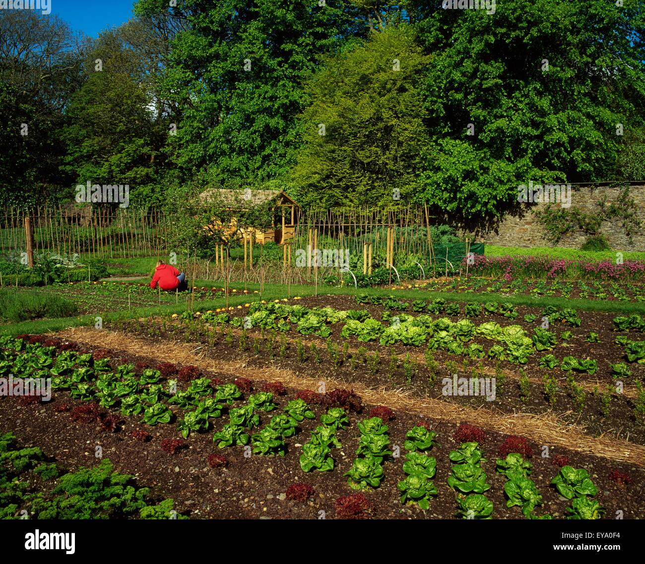 Creagh gardens skibbereen co cork ireland hi-res stock photography and ...