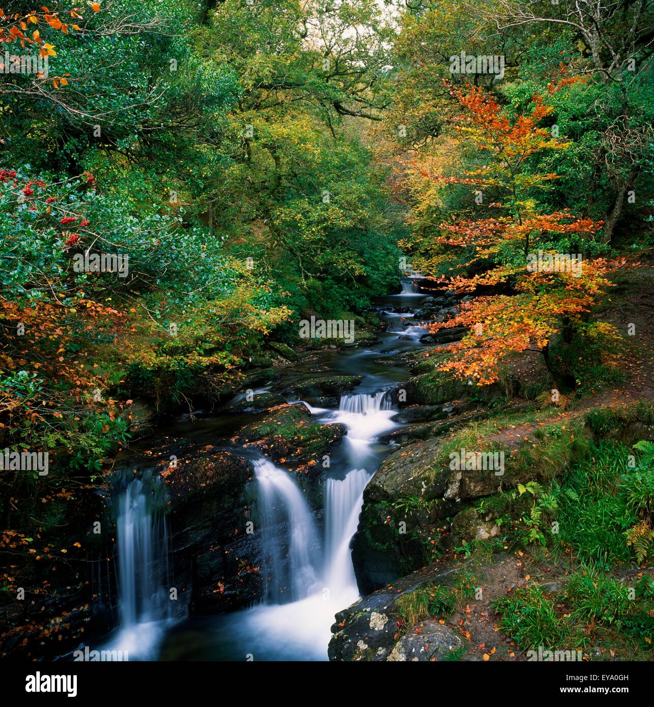 Torc Waterfall, Ireland,Co Kerry Stock Photo - Alamy