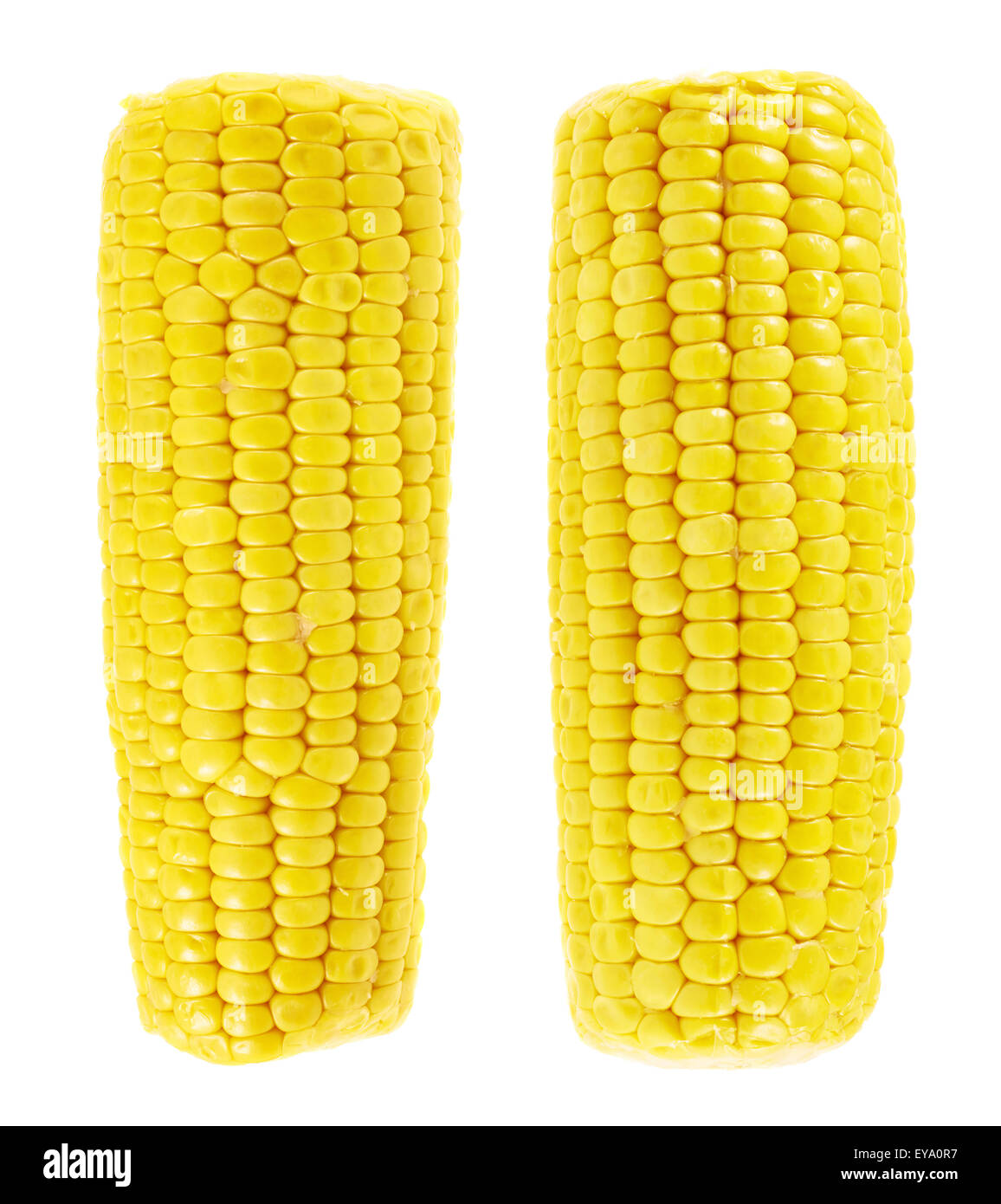Cornstick corn on the cob isolated Stock Photo - Alamy