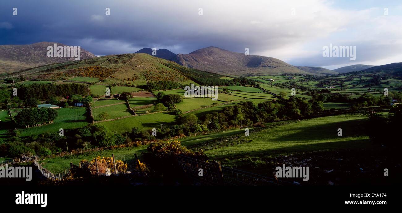 Slieve Bearnagh, From Trassey Road, Mountains Of Mourne, Co Down ...