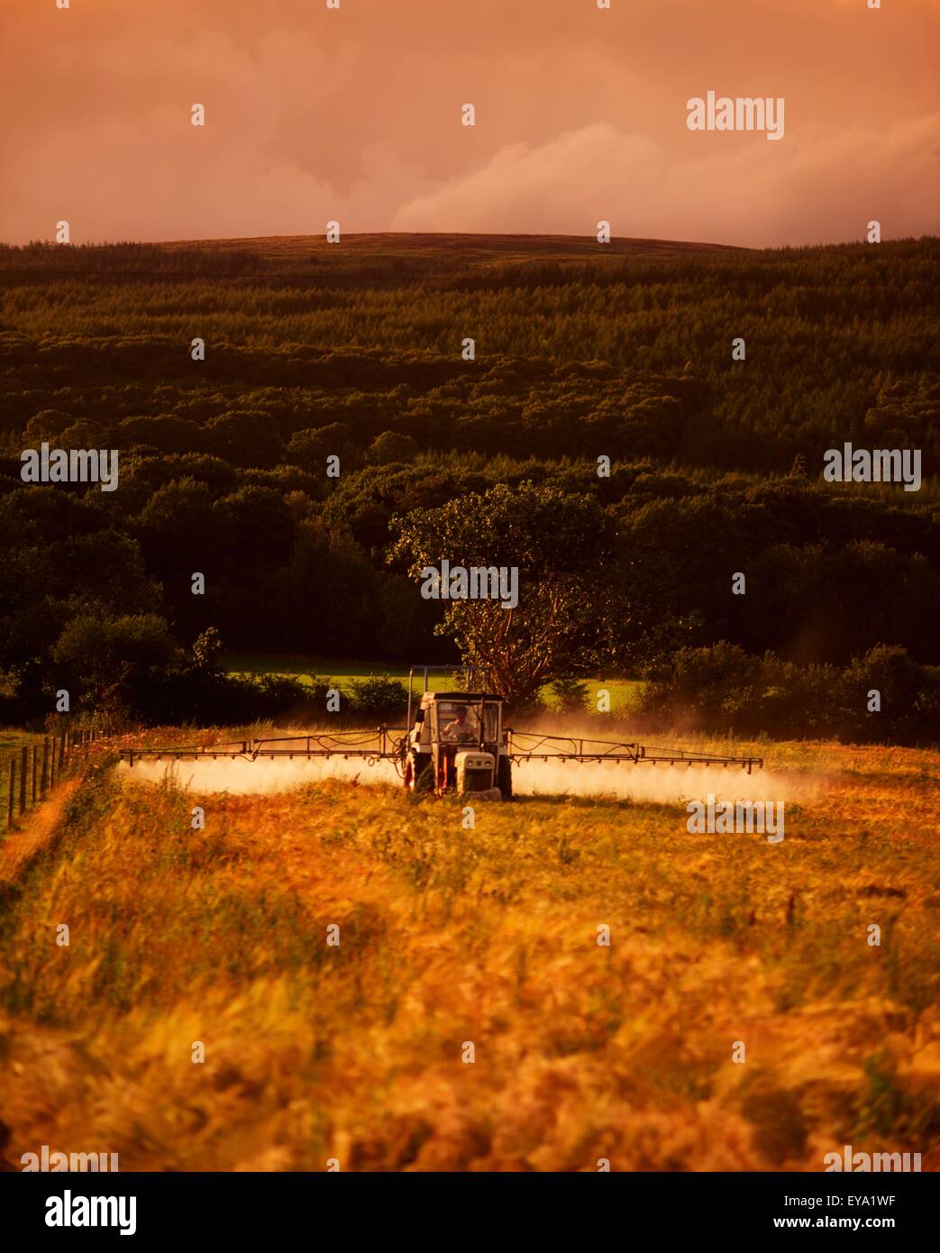 Tillage, Crop Spraying, Ireland Stock Photo - Alamy
