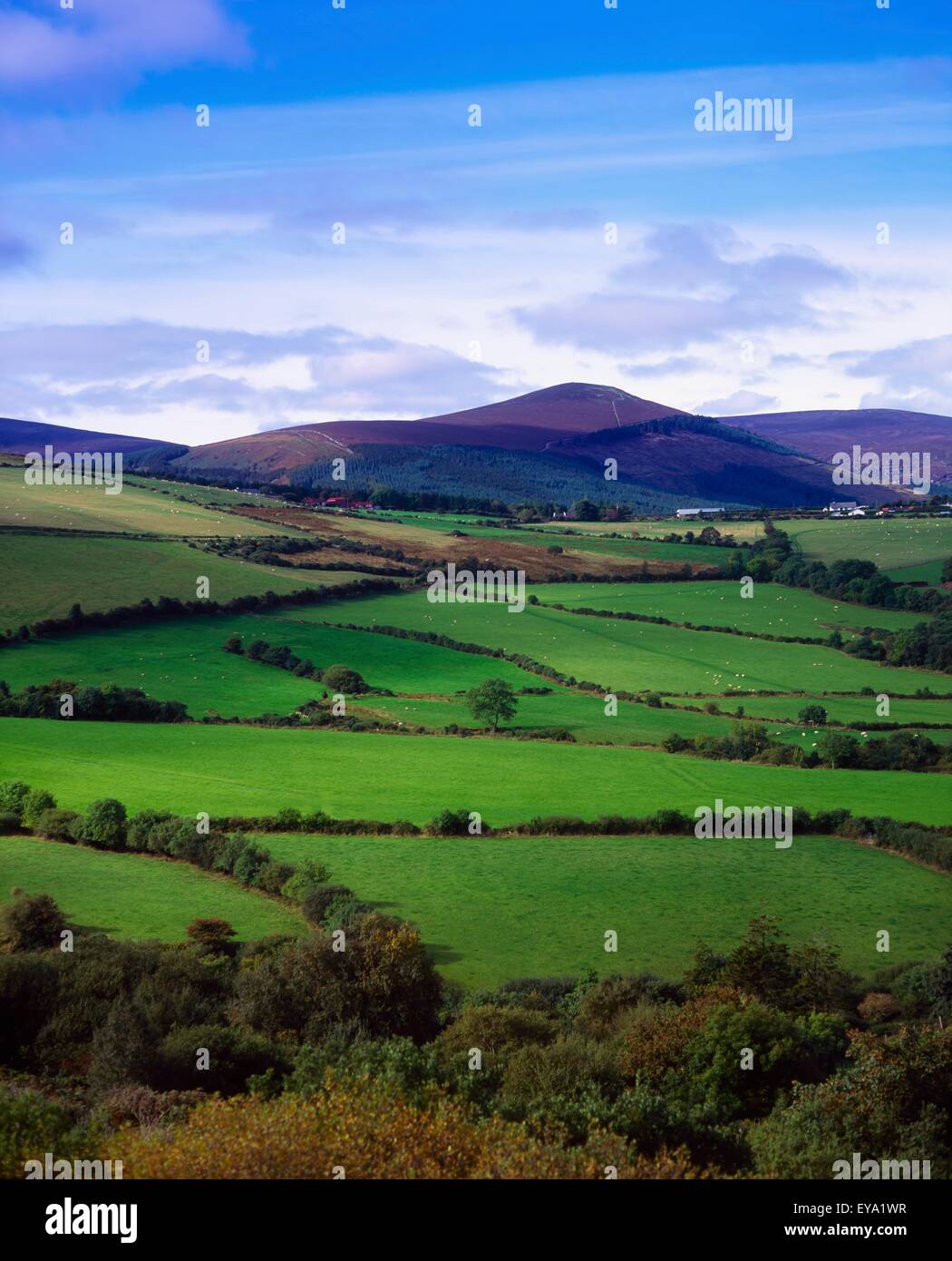 Wicklow colours hi-res stock photography and images - Alamy