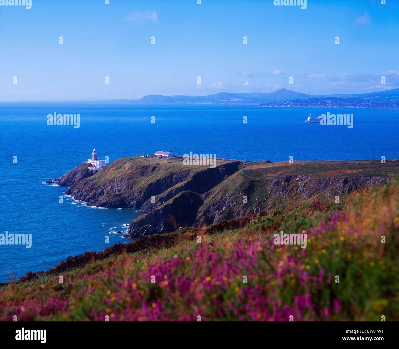 Co Dublin, Howth Head, Baily Lighthouse Stock Photo - Alamy