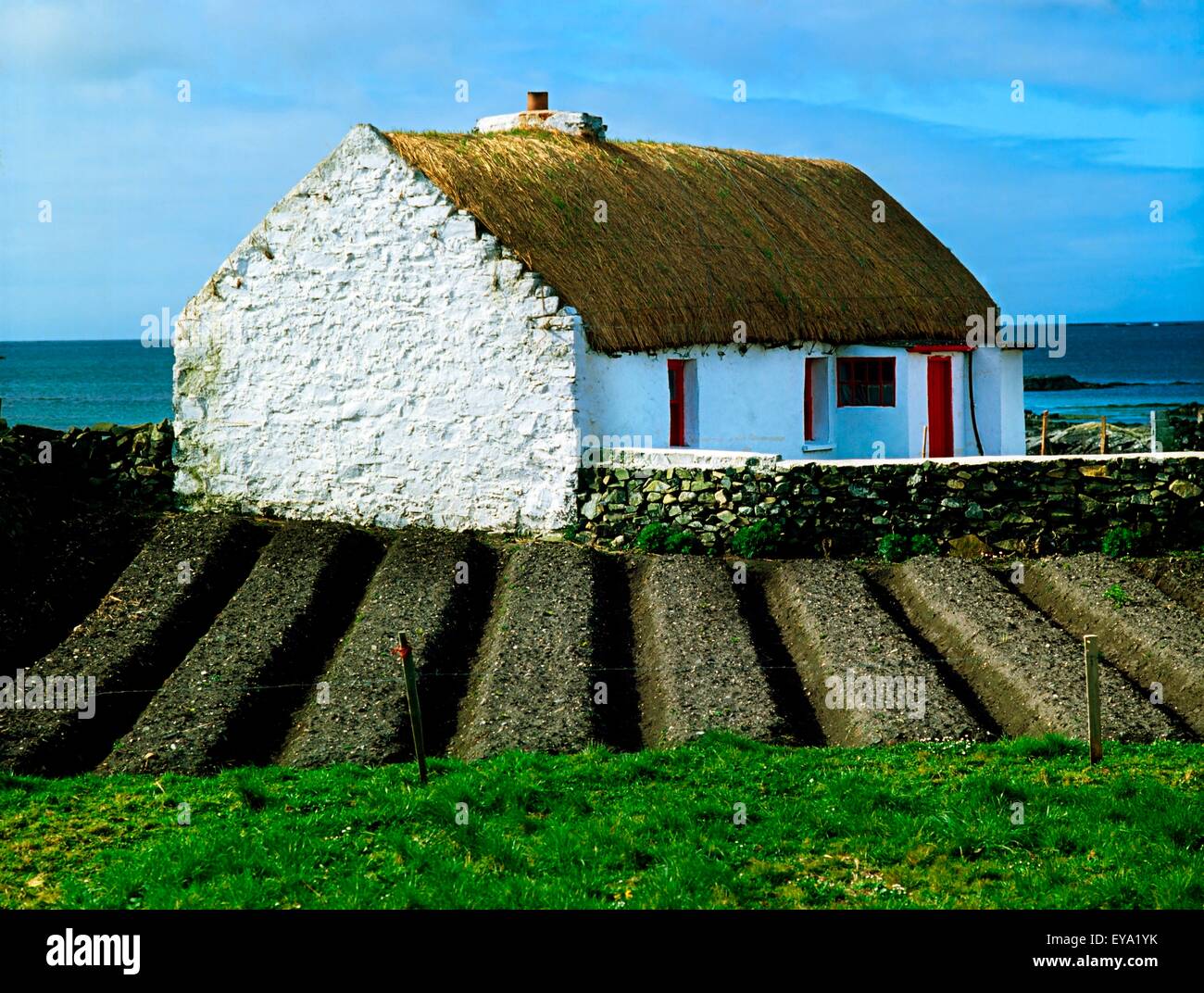 Traditional Cottage, Ballyconneely, Co Galway, Ireland Stock Photo - Alamy