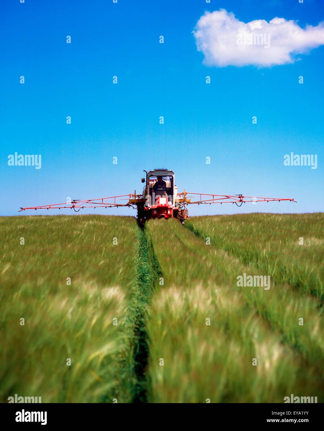 Crop Spraying; Spraying A Field With Pesticide Stock Photo - Alamy