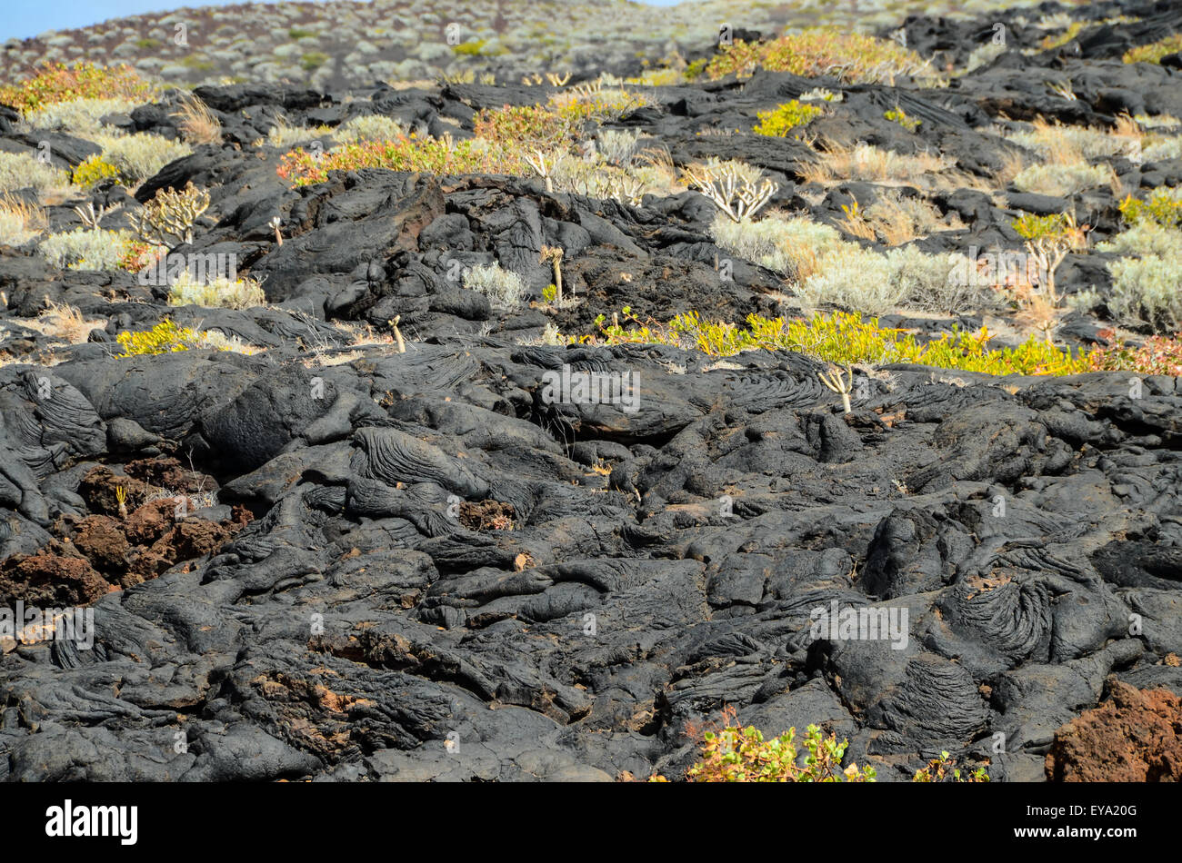 Dry Lava Texture Stock Photo - Alamy