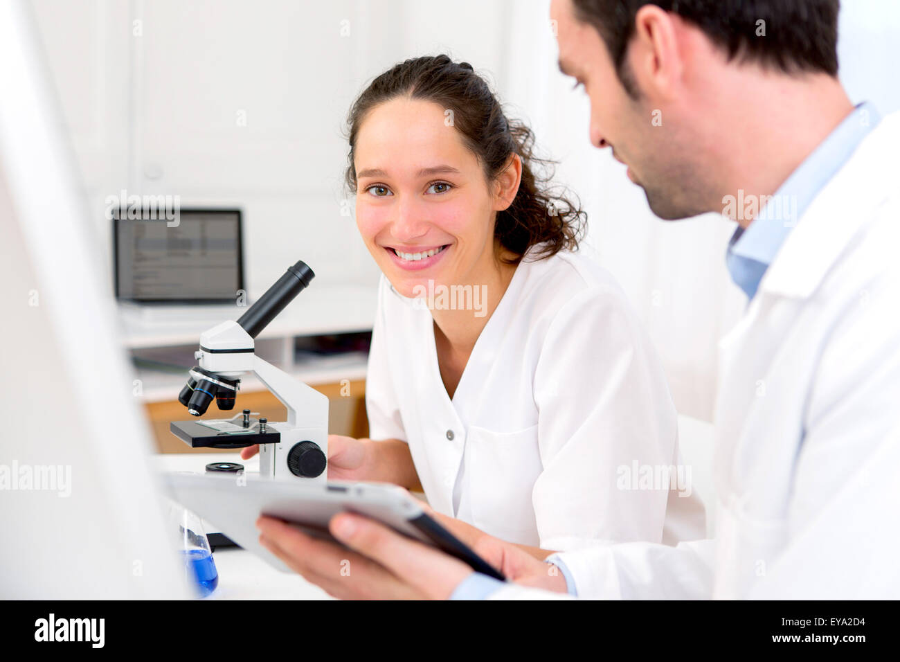 View of Scientists working together in a laboratory Stock Photo - Alamy