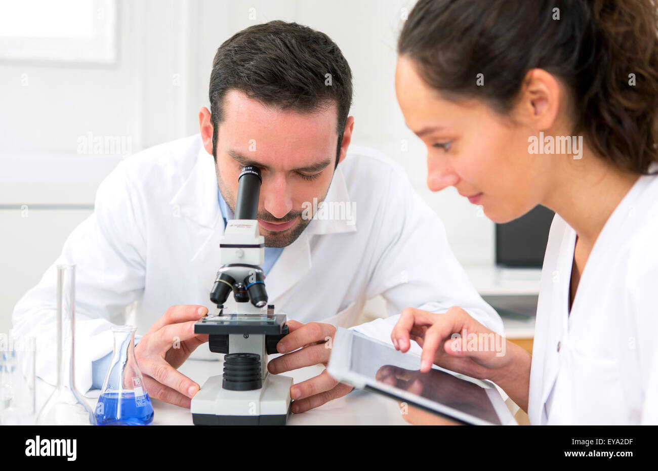 View of a Scientist and her assistant in a laboratory Stock Photo - Alamy